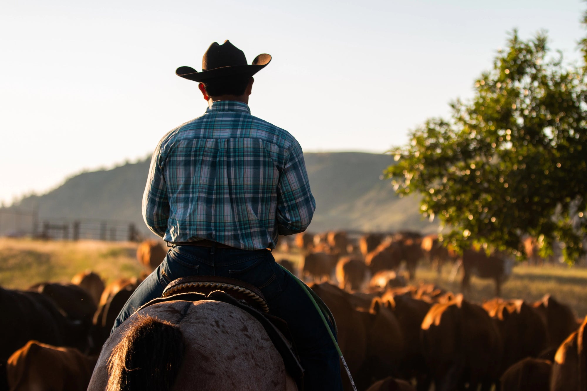 Guía Completa de Estilo Western: Tendencias y Outfits 2025